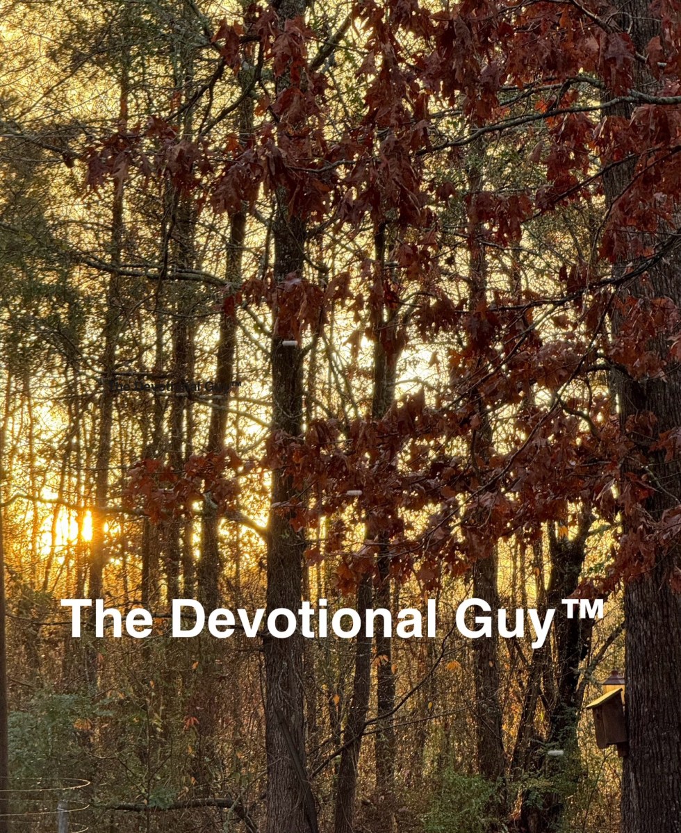 The Beauty and Wisdom of Trees – The Devotional Guy™
