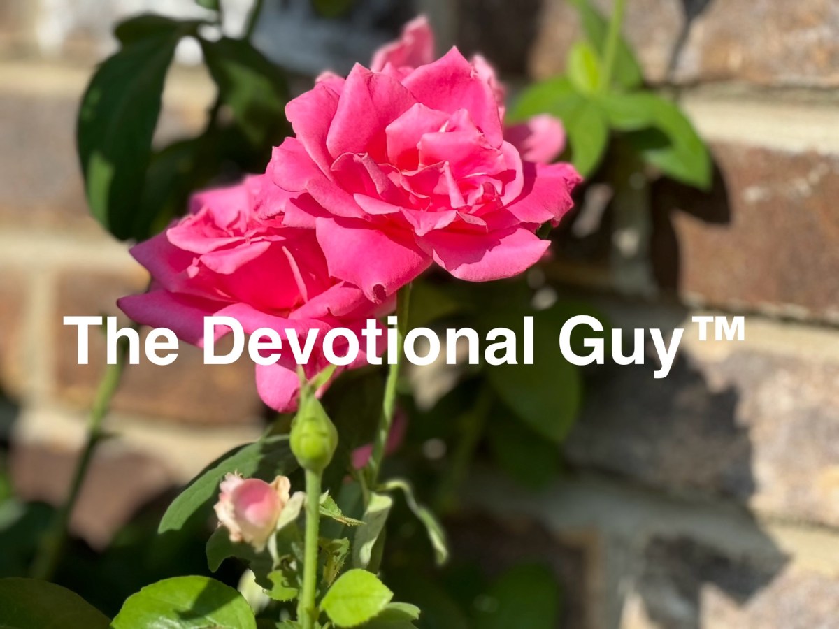 Inhabiting a World Where Space and Time are Premiums – The Devotional Guy™